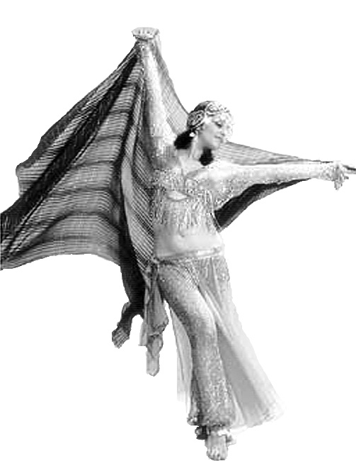 Anahid Sofian Professional Biography